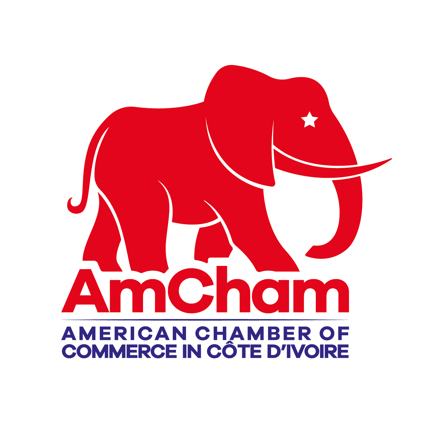 Contact - AMCHAM