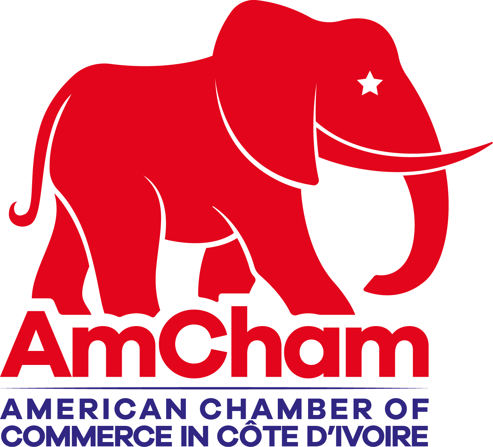 Contact - AMCHAM